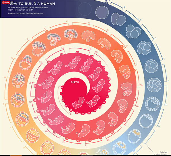 Index of /wp-content/uploads/2017/03/