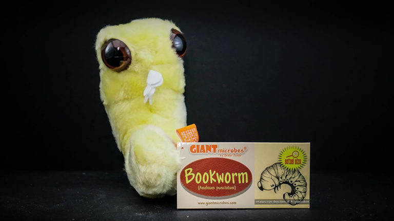 Giant Book Worm plush toy : Fizzics Education