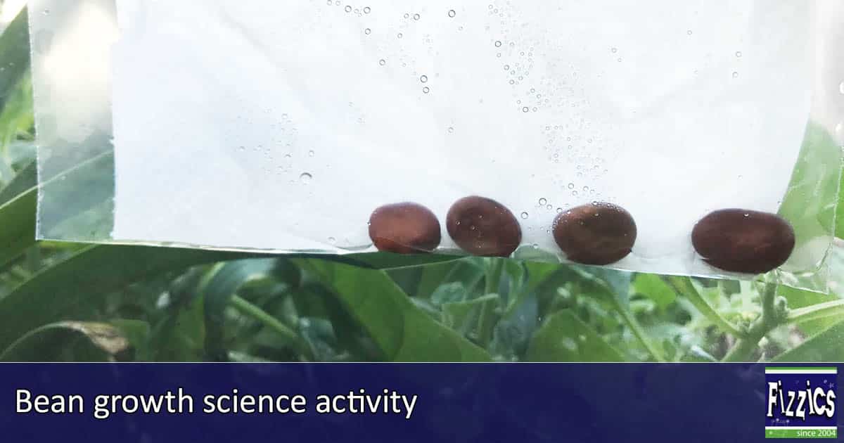 Make a ‘beanhouse’ (Alternate Version) : Fizzics Education