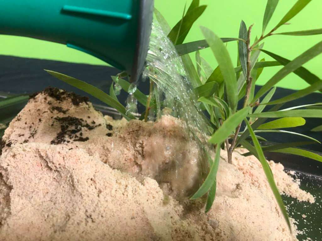 Soil Erosion By Water Experiment