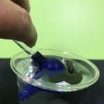 Drinking bird by New Dimension : Fizzics Education