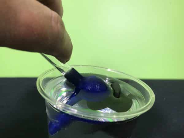 Drinking bird by New Dimension : Fizzics Education