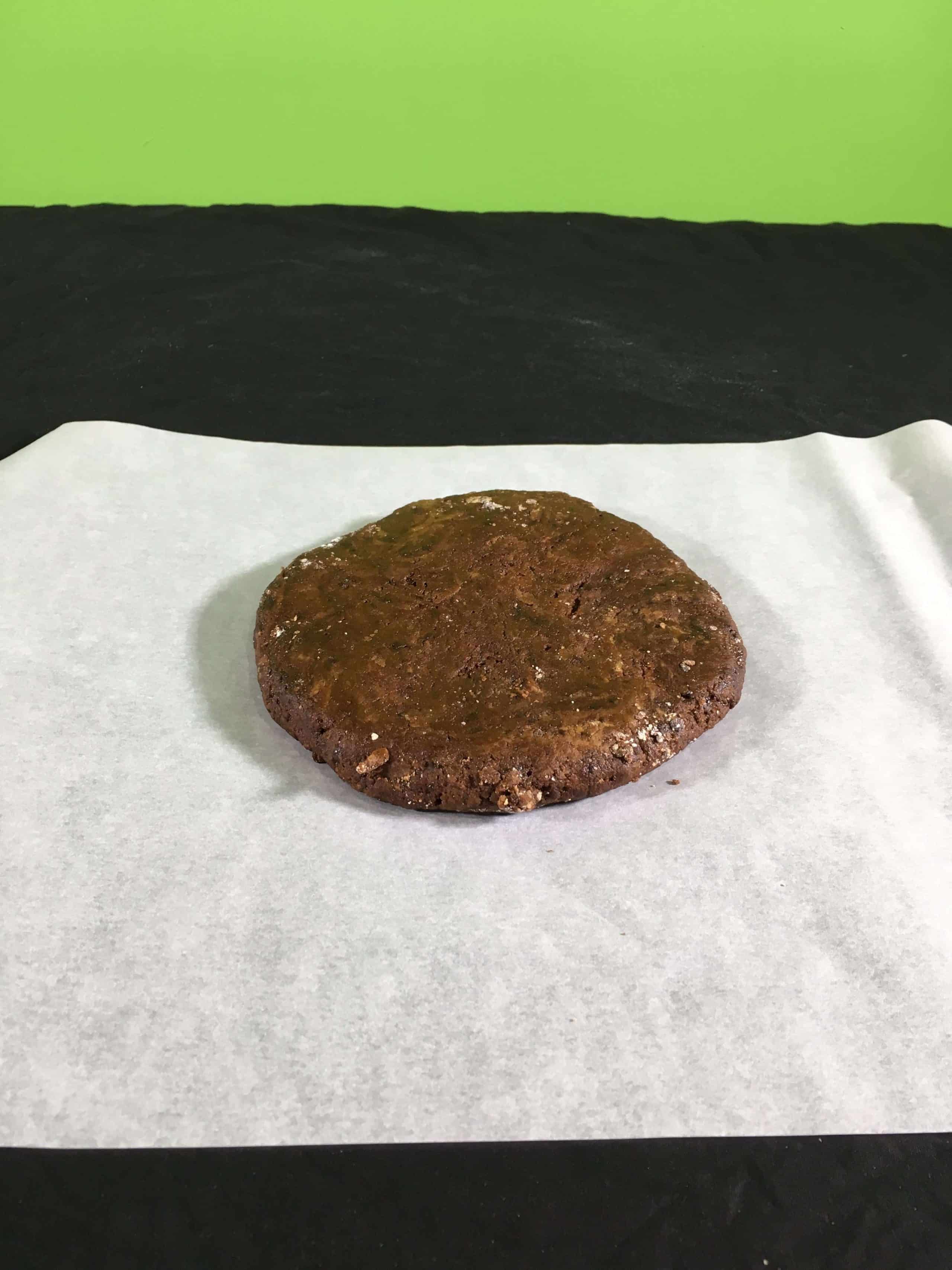 Make A Dough-Based Fossil : Fizzics Education