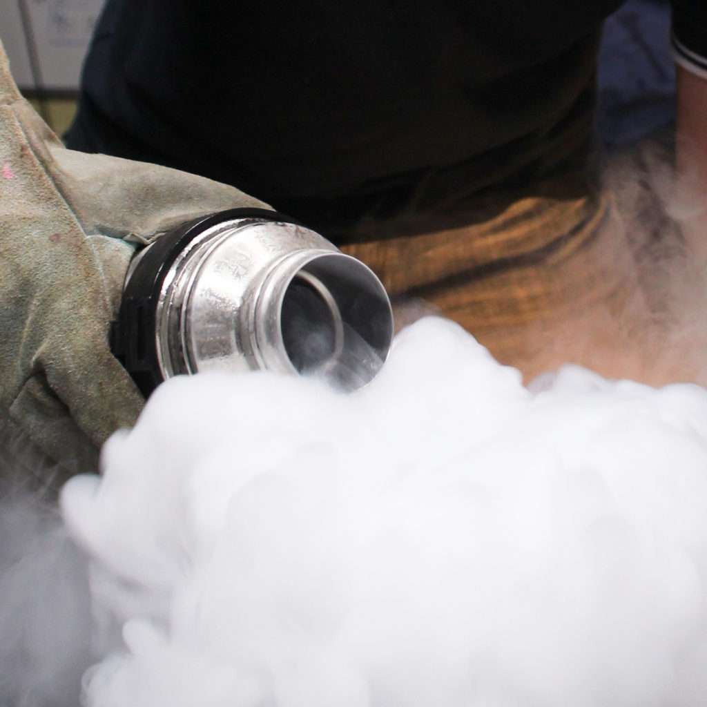 Liquid Nitrogen Show : Fizzics Education