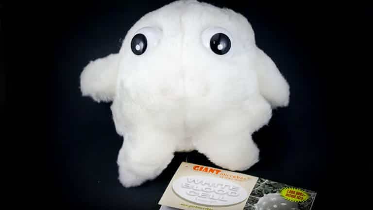 Giant White Blood Cell Plush Toy : Fizzics Education