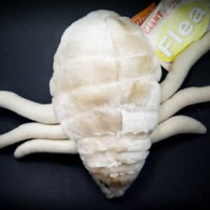 Giant Flea Plush Toy : Fizzics Education