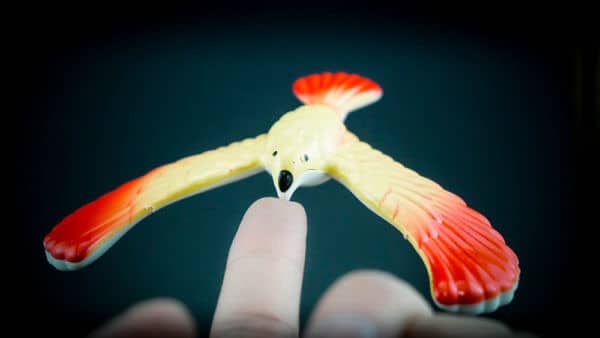 Balance bird : Fizzics Education