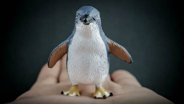 Fairy penguin replica : Fizzics Education