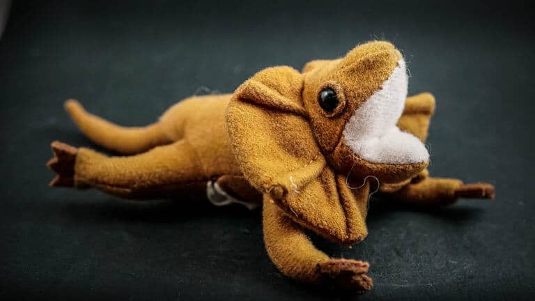 Frilled neck lizard finger puppet : Fizzics Education