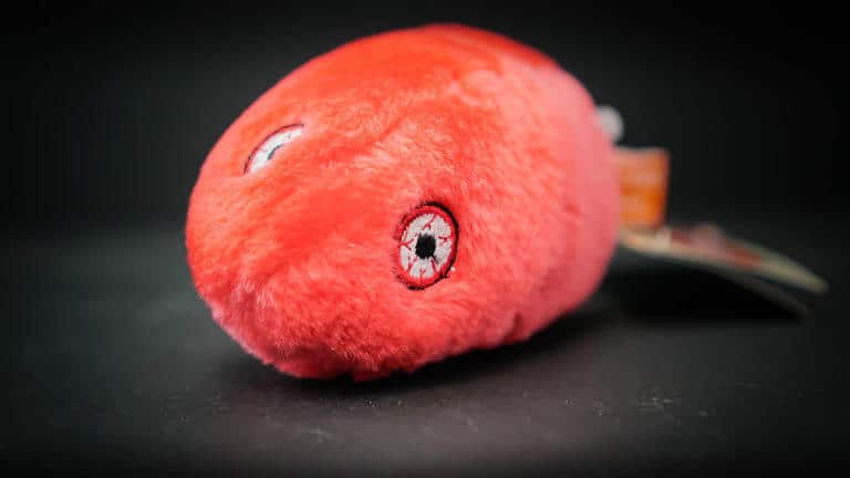 Giant Rabies Plush Toy : Fizzics Education