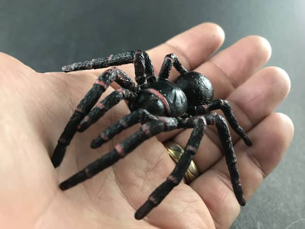 Funnel-web spider replica : Fizzics Education