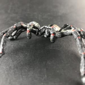 Huntsman spider replica : Fizzics Education