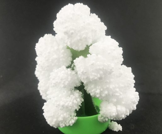 Magic Crystal Tree Science Kit : Fizzics Education