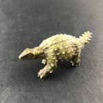 Minmi dinosaur replica : Fizzics Education