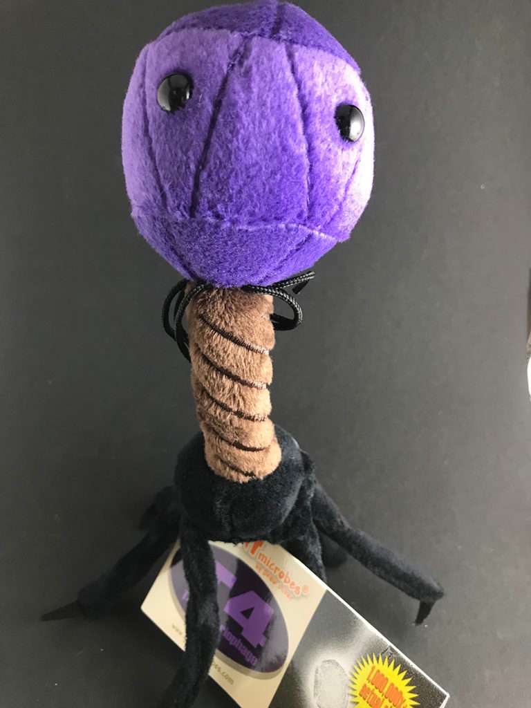 Giant T4 Bacteriophage Plush Toy : Fizzics Education