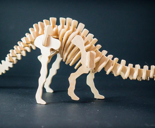 Apatosaurus Woodcraft Skeleton Construction Kit : Fizzics Education