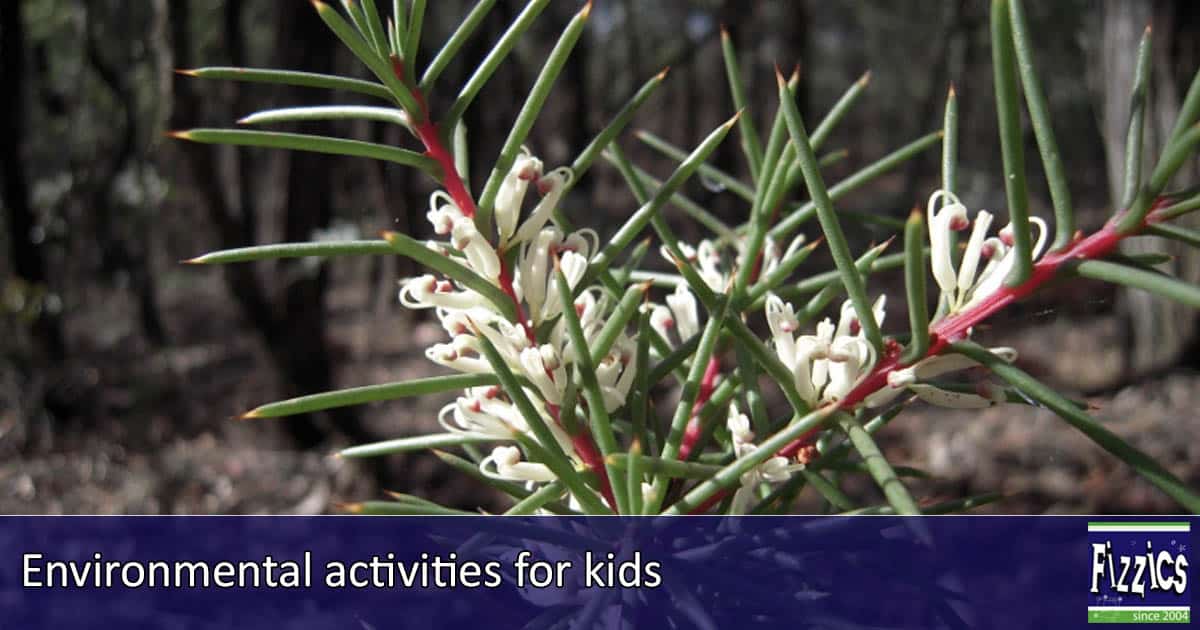 Biology & Environmental Science Projects : Fizzics Education