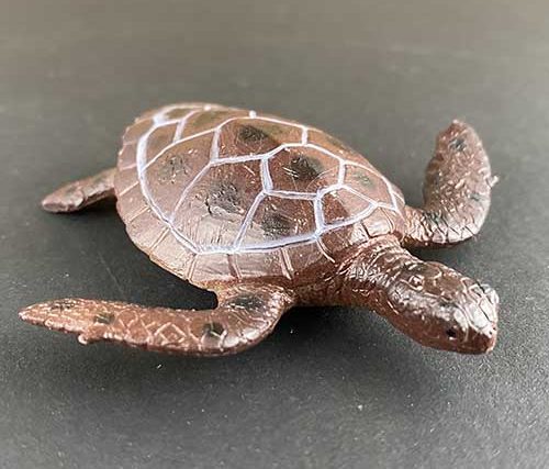 Green turtle replica : Fizzics Education