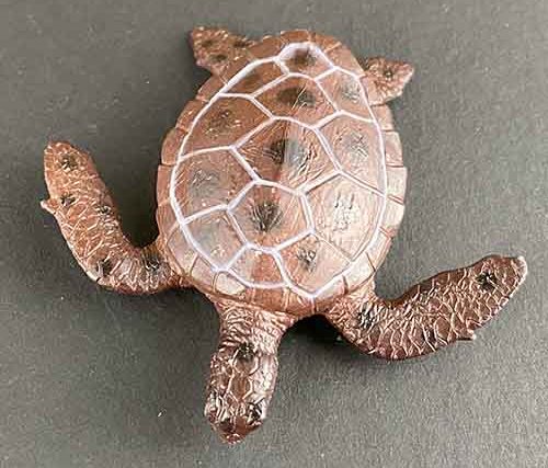 Green turtle replica : Fizzics Education