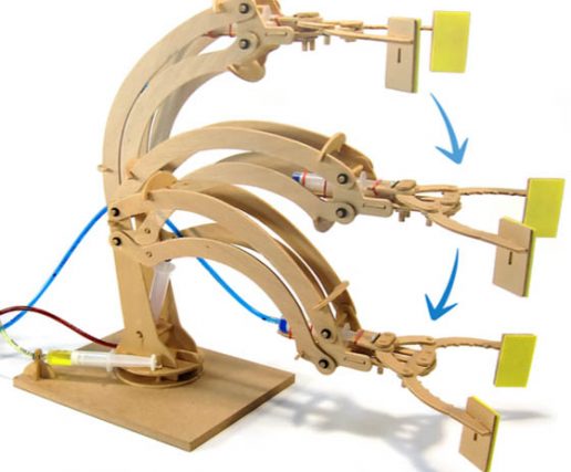 Hydraulic Robotic Arm Wooden Kit : Fizzics Education
