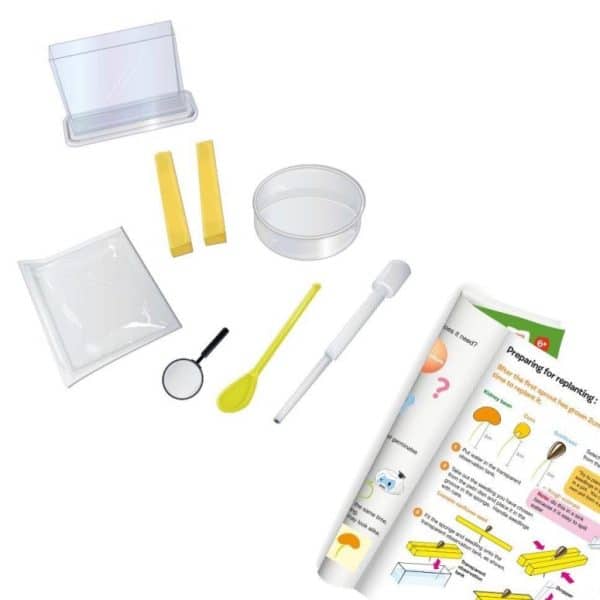 Root and Shoots Kit : Fizzics Education