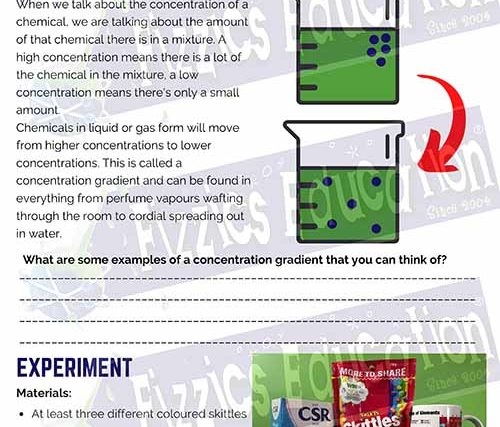 Skittle Science Student Activity Sheets (4) : Fizzics Education