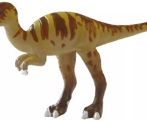 Atlascopcosaurus replica : Fizzics Education