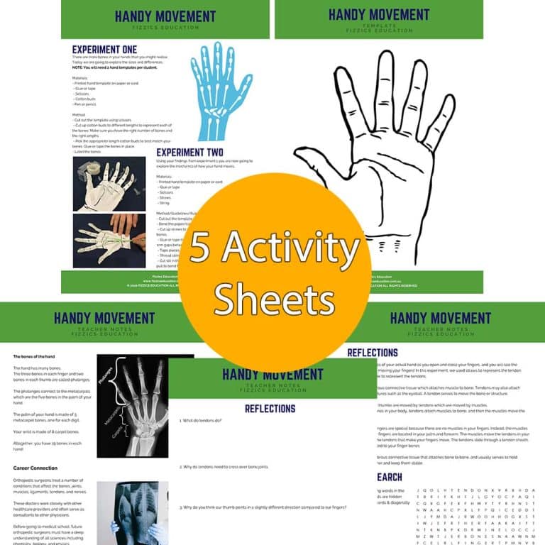 Handy Movement Activity Worksheet (5) : Fizzics Education