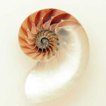 20 Free National Science Week 2025 teaching ideas : Fizzics Education